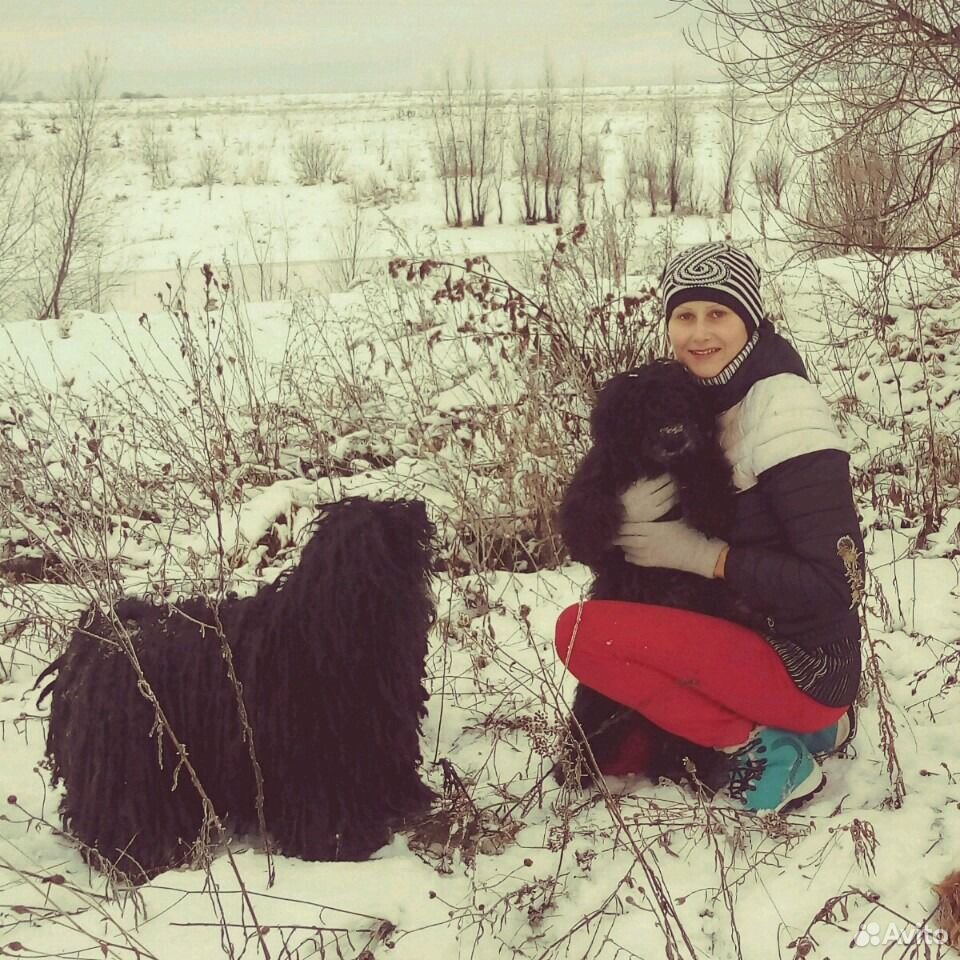 Пули Пули Пули