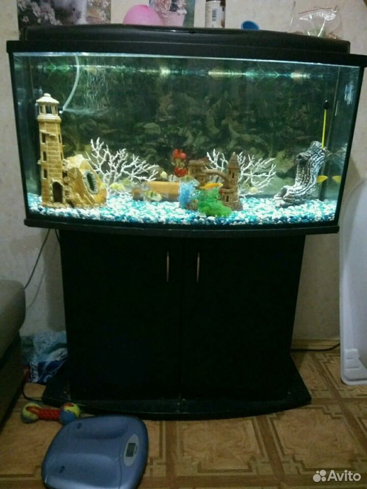 Панорамный аквариум 160л