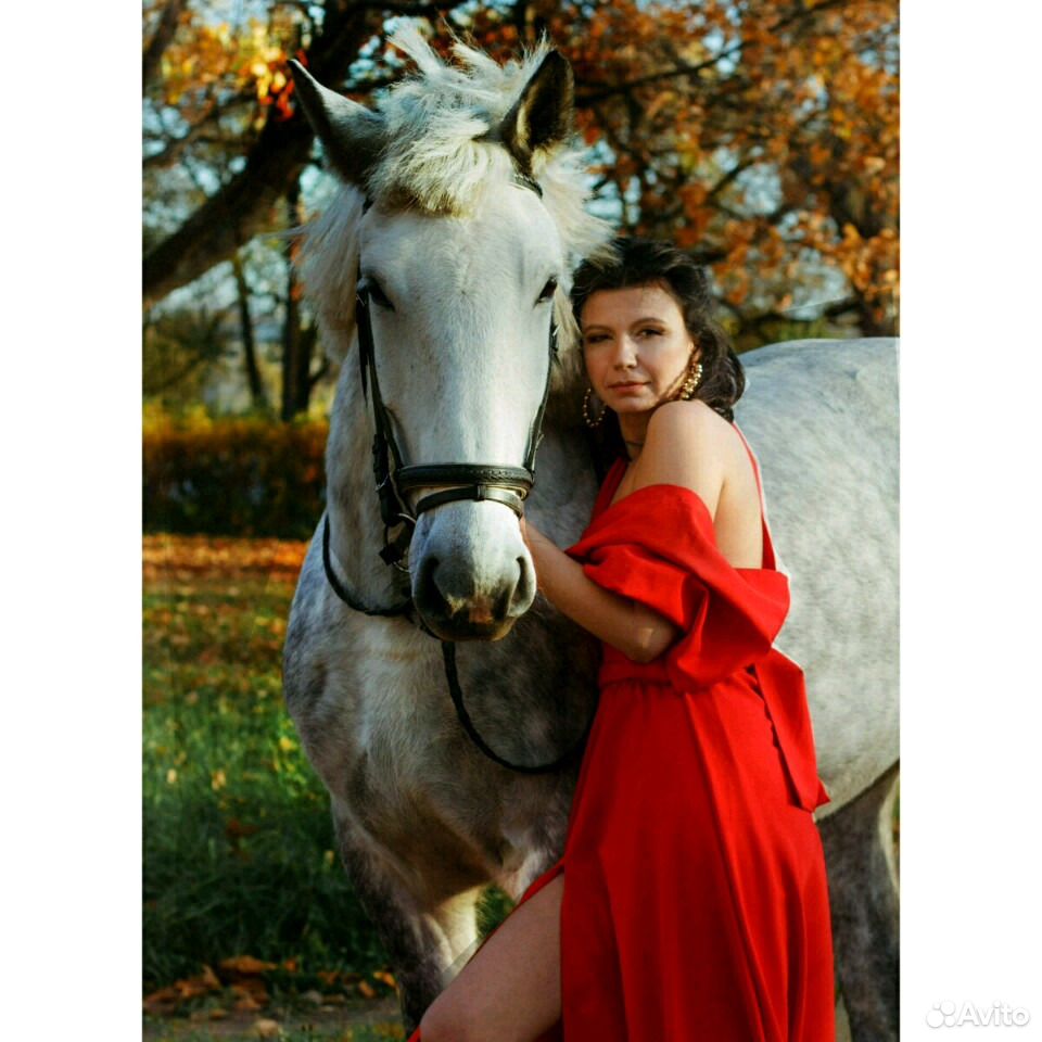 Лошадь съёмочная