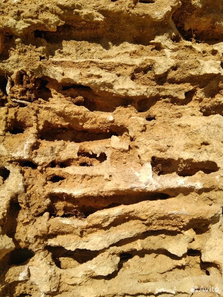 Крымский песчаник