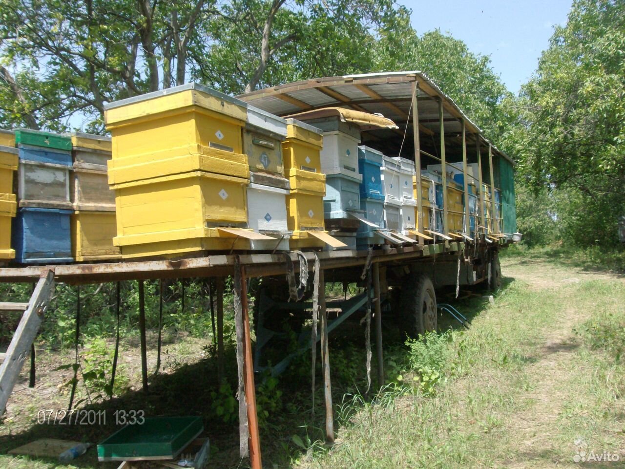 Пчелосемьи на прицепе
