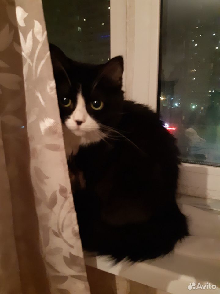 Сиротка Василиса