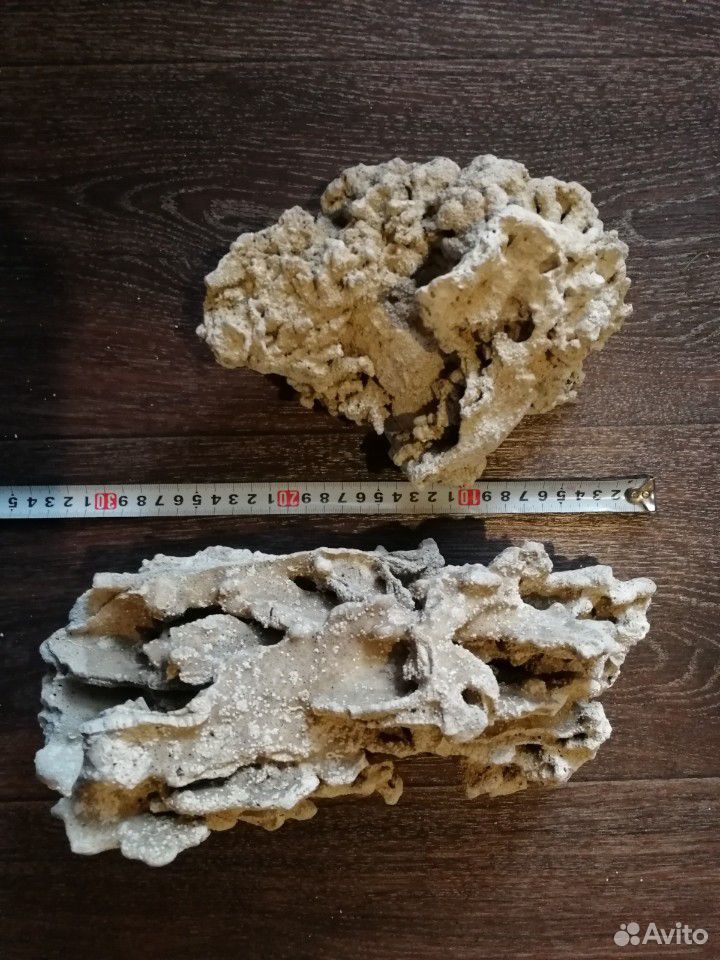 Для морского аквариума