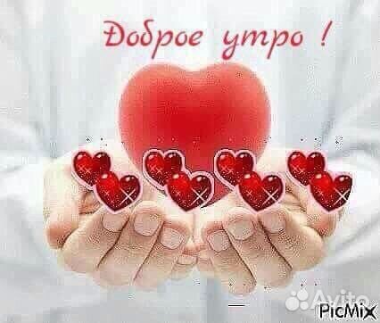 Цыплята