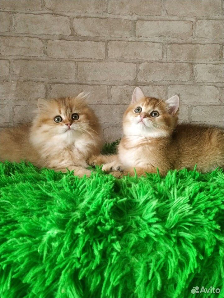 Солнечные лучики