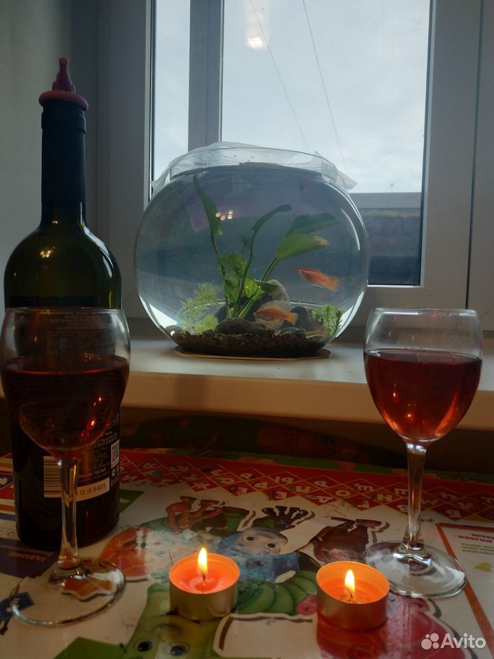 Меченосец самка