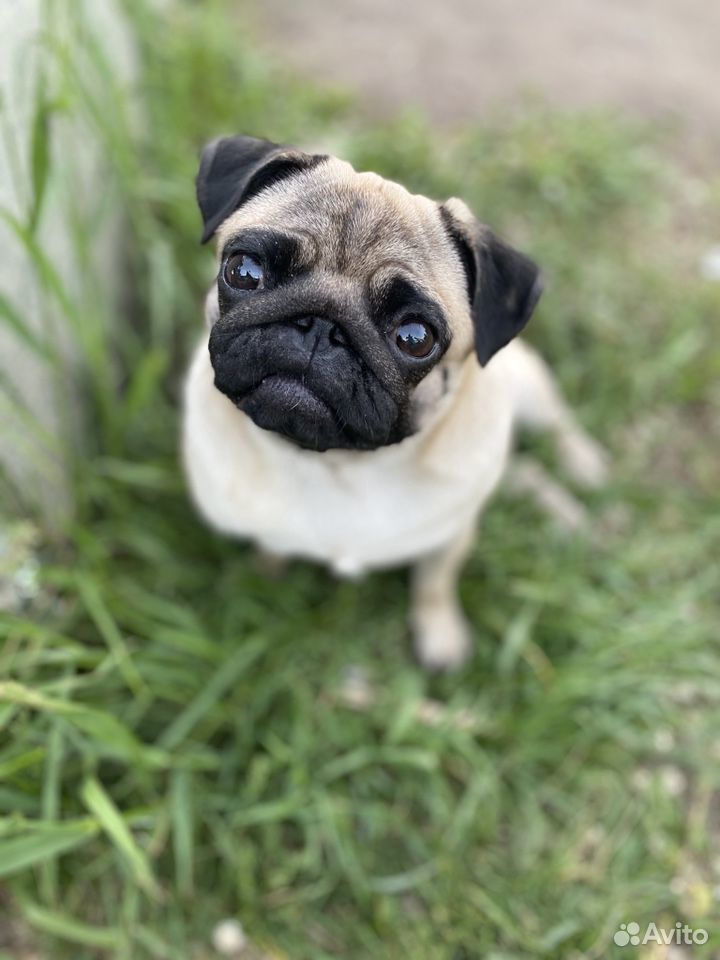 Ищем жениха