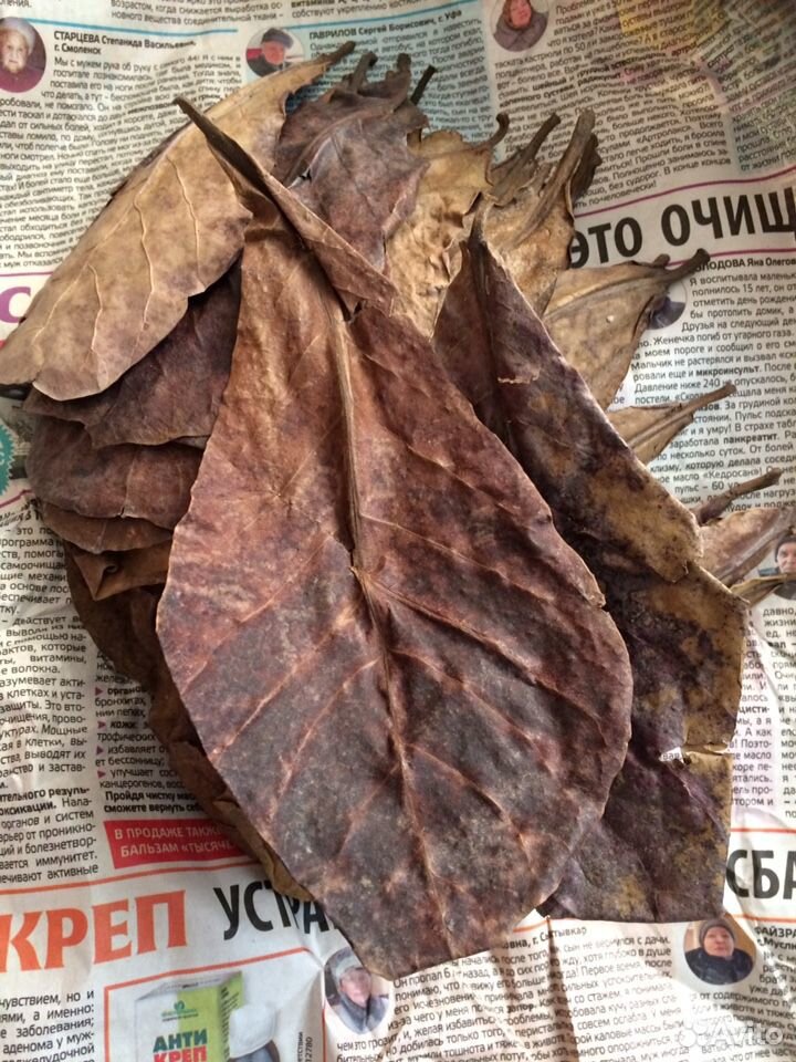 Лист миндаля