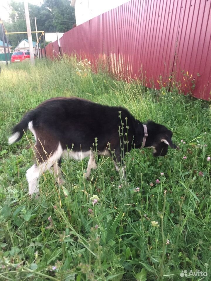 Продажа. Барьер