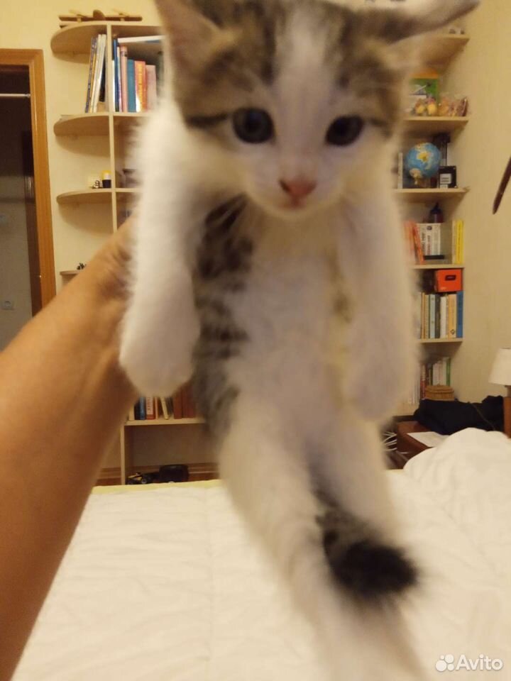 Малышка-Милашка