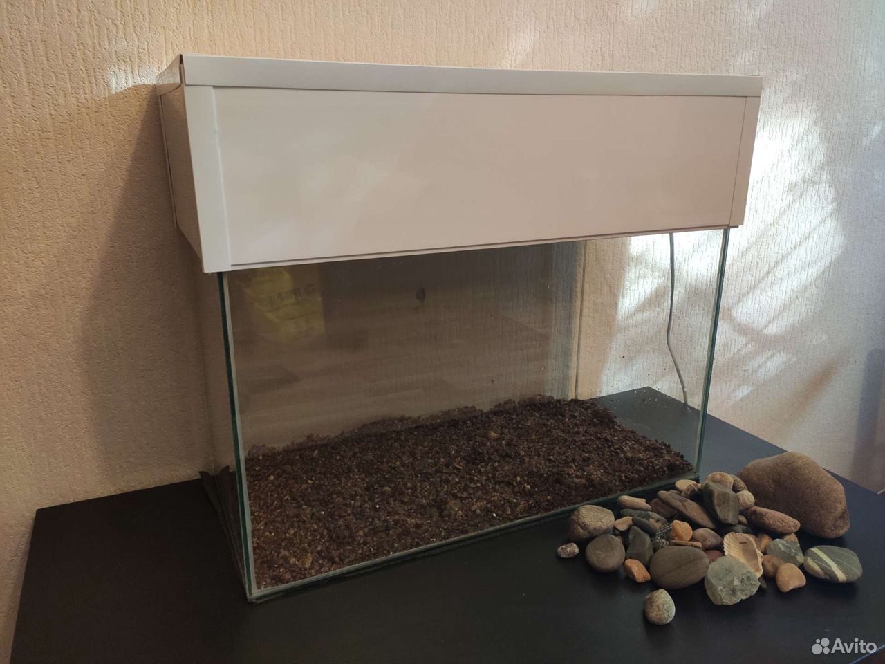 Аквариум 40 литров и 4 тернеции