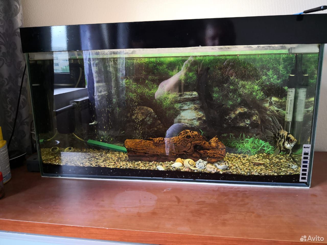 Аквариум 100 л