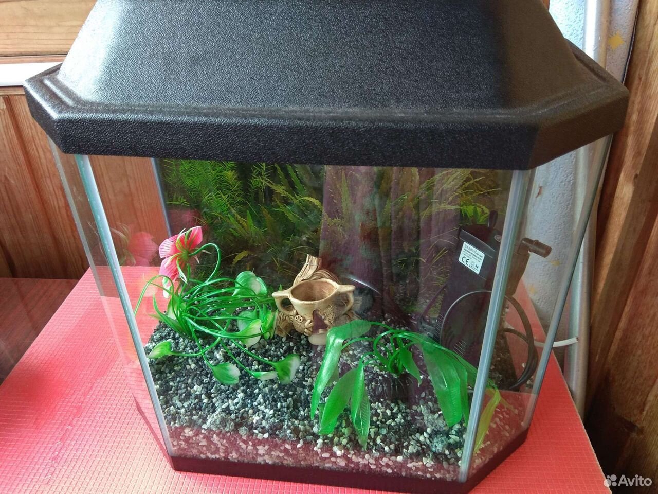 Аквариум