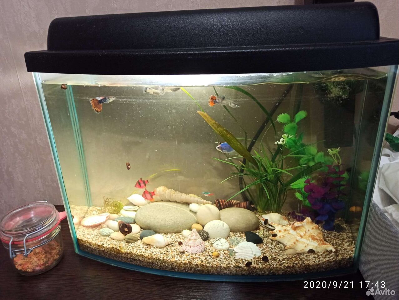 Аквариум с рыбками
