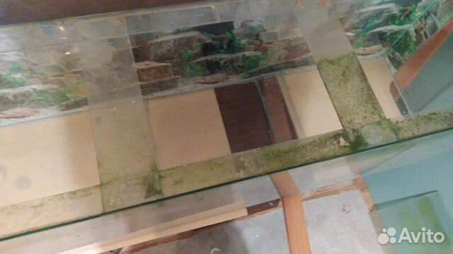 Бесплатно Аквариум с трешиной