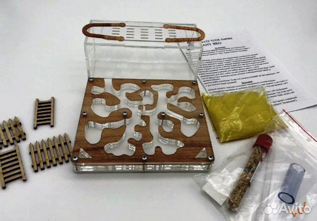 Муравьи и ферма