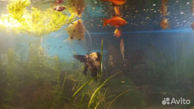 Аквариум 150литров