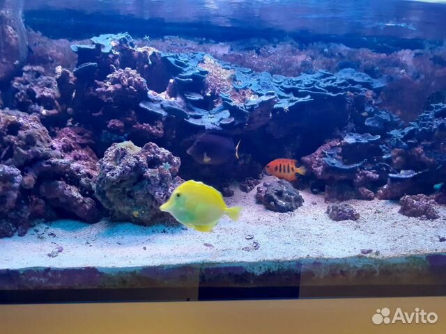 Морской elos 320 Л