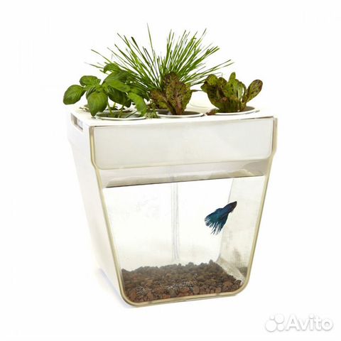 Новая акваферма - aqua farm