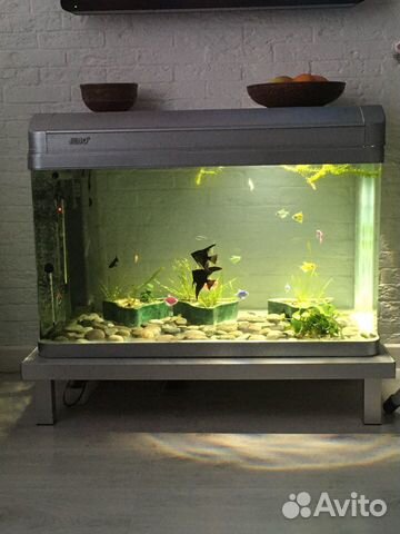 Аквариум 150 литров