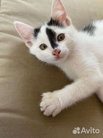 Малышка Лилу в дар