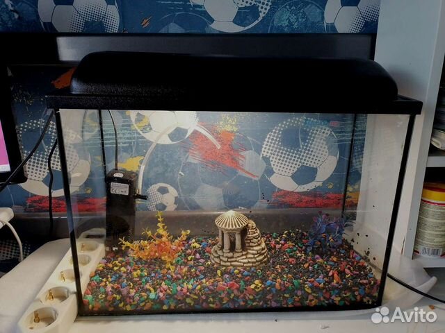 Аквариум 25 литров, полный комплект