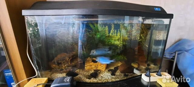 Аквариум