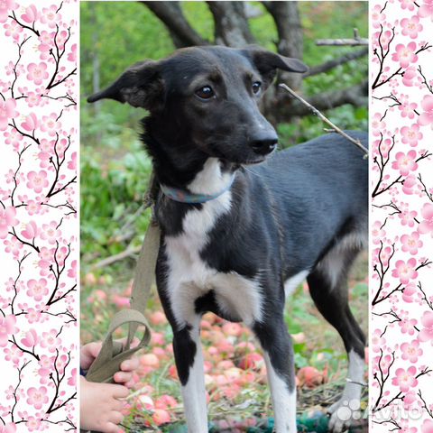 Небольшая для квартиры/дома