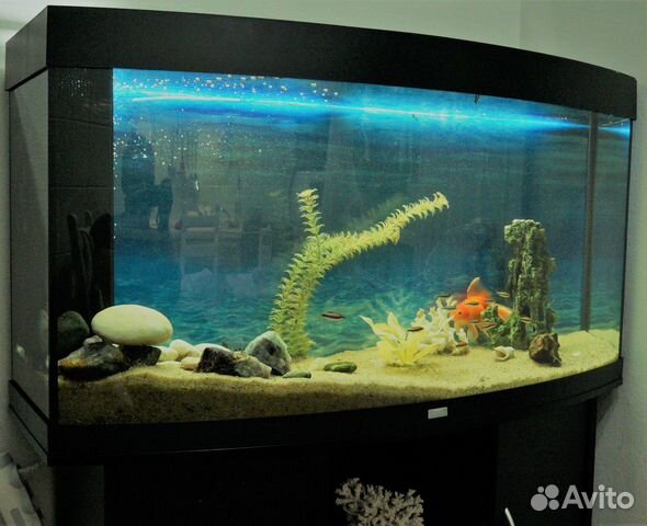 Аквариум Juwel (Ювел) vision 260