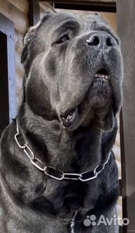 Кабель на вязку