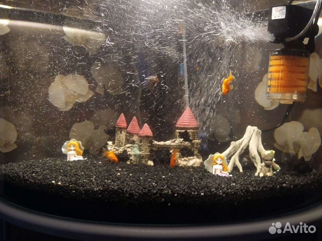Рыбки аквариумные