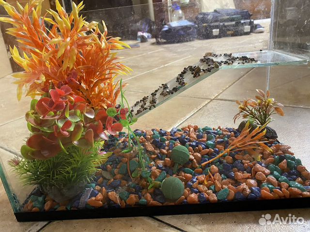 Аквариум для красноухой черепахи