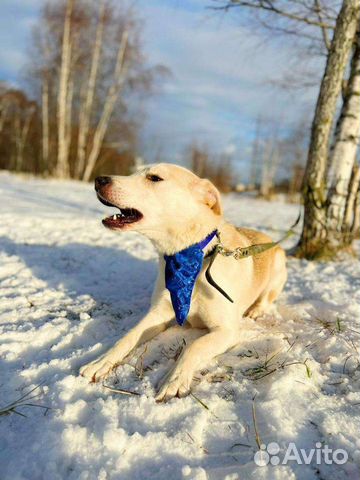 Я буду твоим лучшим другом