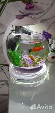 Аквариум круглый тетра tetra