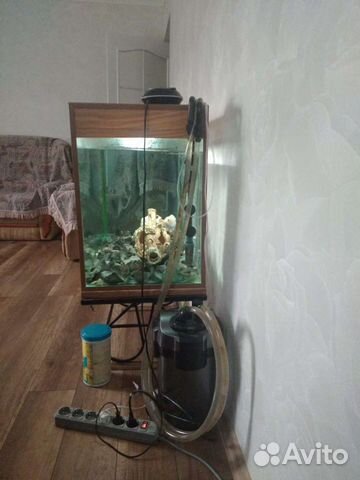 Аквариум в сборе