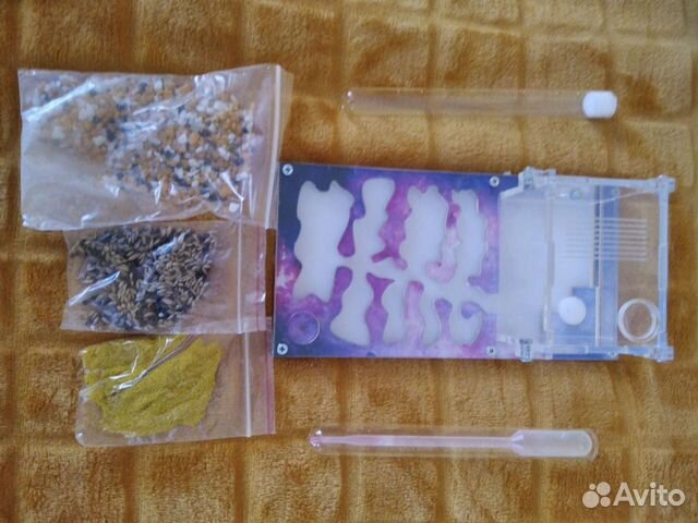 Это домашний муравейник в котором можно поместить