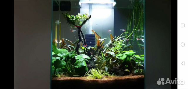 Аквариум