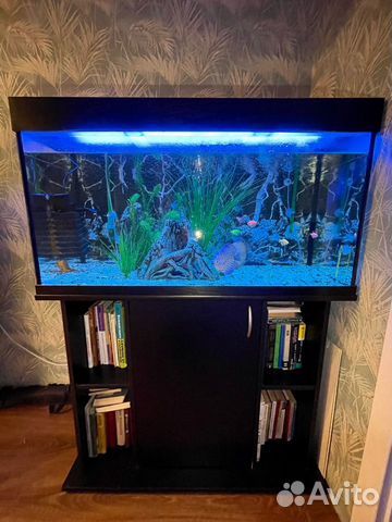 Аквариум 200 литров