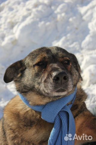 Дуня никому не нужна