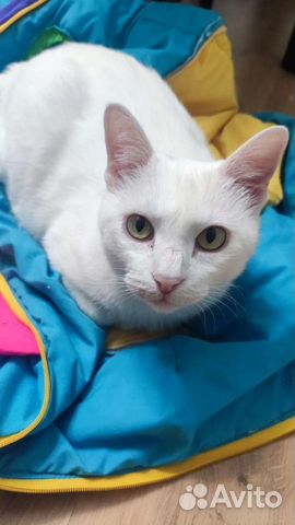 Хочется домой