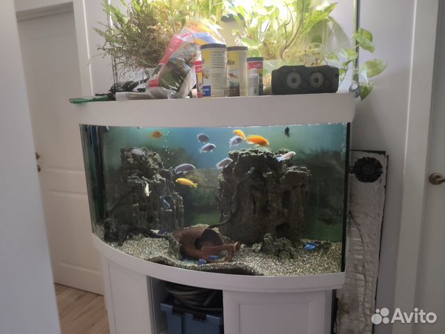 Аквариумные декорации - песчаник ракушняк