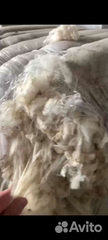 Баранья шерсть