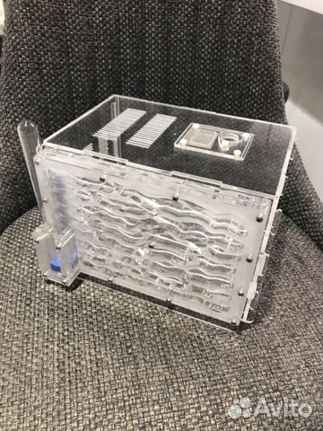 Муравьиная ферма (формикарий)