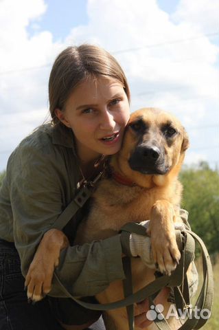 Добродушный пес Лео