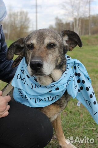 Никому не нужен