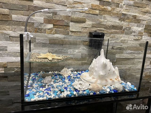 Аквариум с наполнением 50х30х23