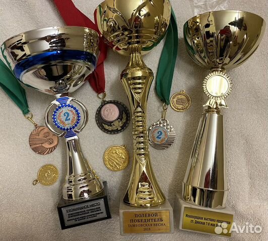 Курцхар вязка