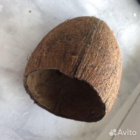Кокос