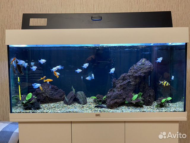 Аквариум для рыб