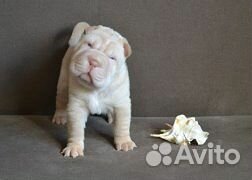 Готова к от'езду в новый дом)